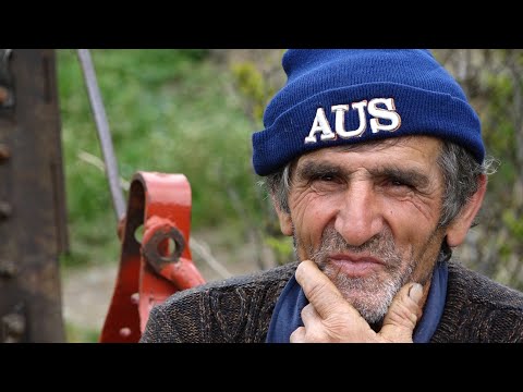 Կաթից «վառվող» գյուղը. Պրիվոլնոյե