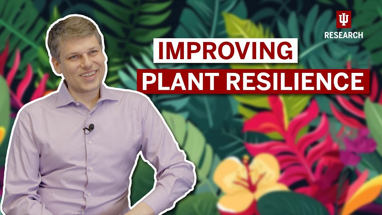 Developing stronger crops with science - YouTube