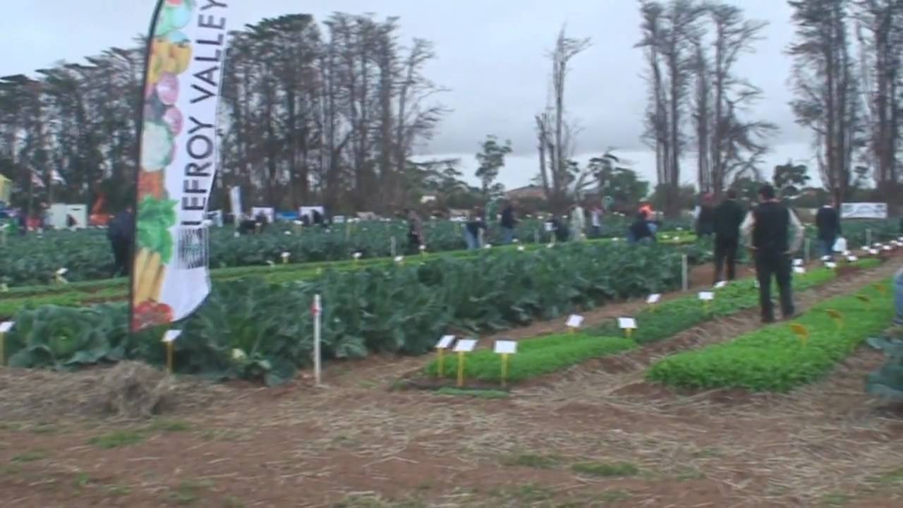 National Vegetable Expo 2009 - YouTube