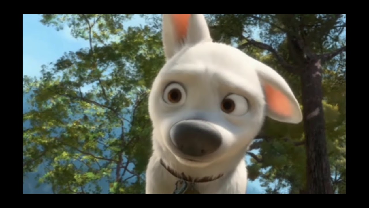 Floppy Ears Meme《Bolt》 | majormaster | - YouTube