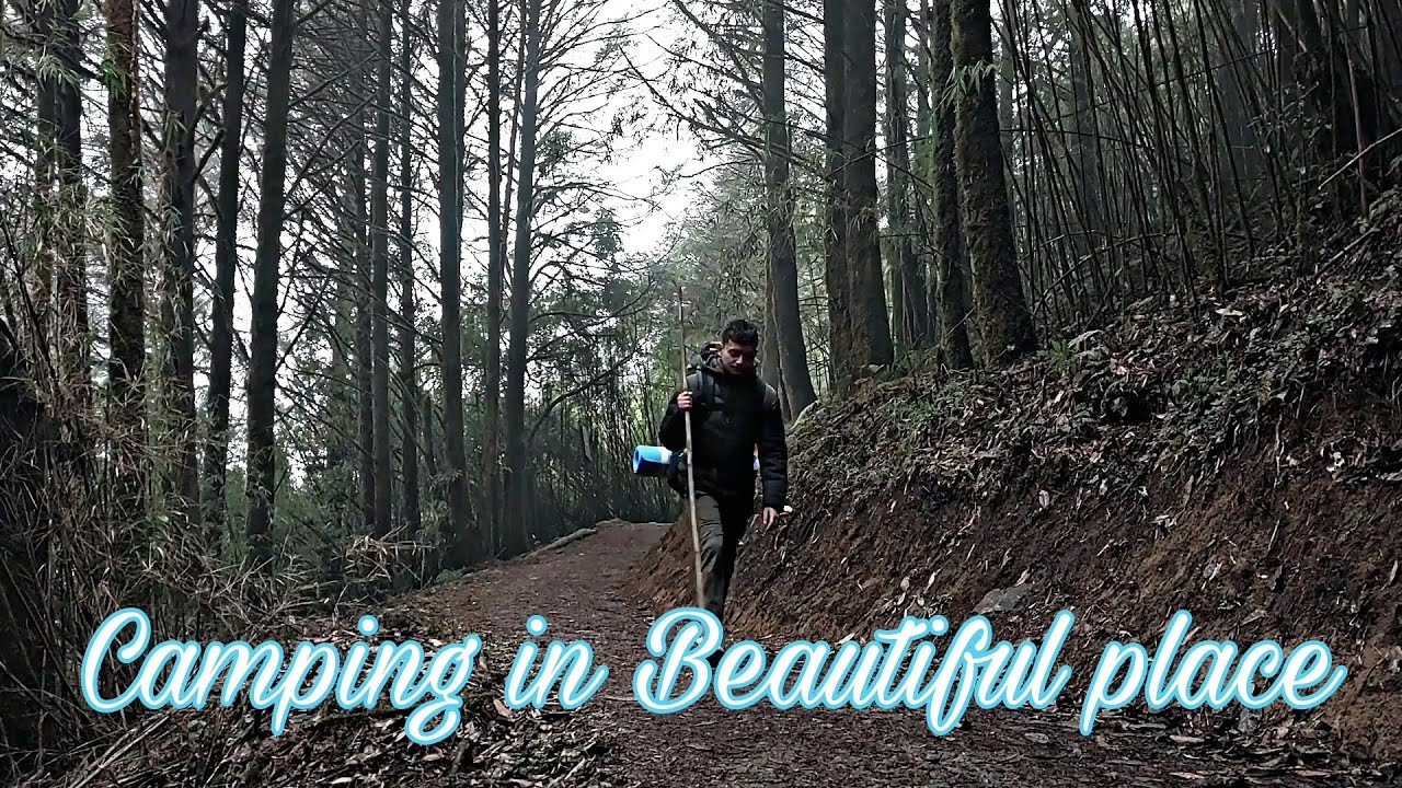 Camping in Beautiful dense forest / deep forest camping / Solo ...