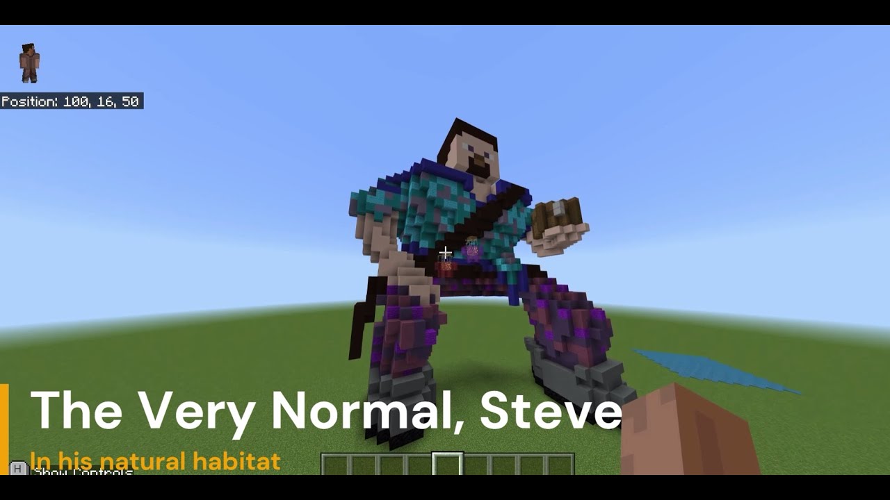 Very Normal Steve [Low budget speed build] - YouTube