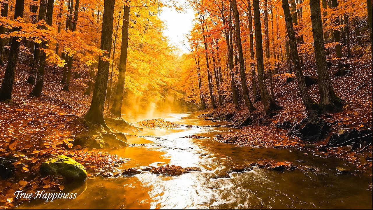 Beautiful Autumn Relaxing Music 🍁 Gentle Tunes to Calm the Soul, Stop ...