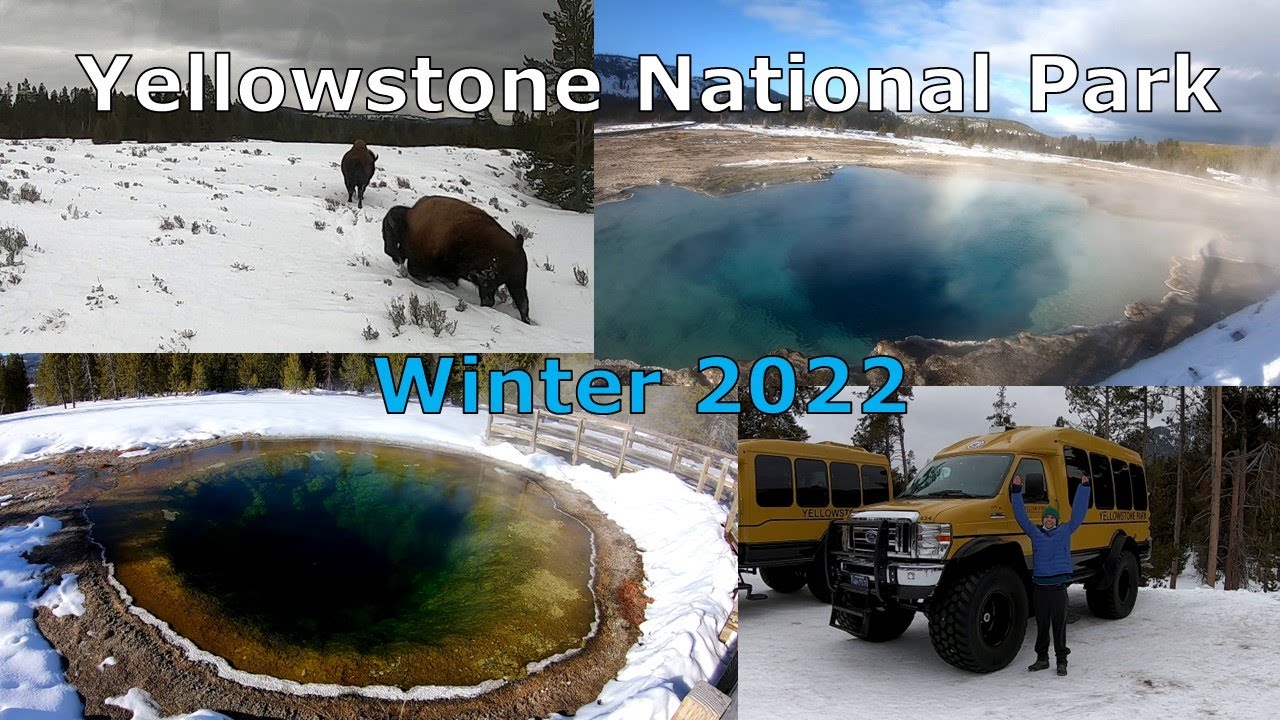 Exploring Yellowstone National Park in Winter! - YouTube