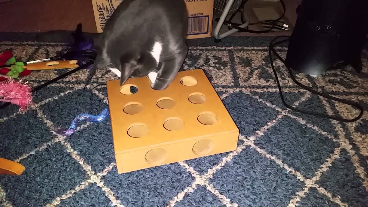 Grayson playing - YouTube