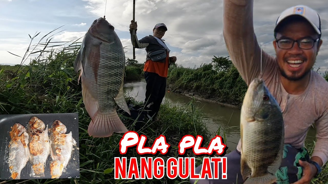 Malalaking Mga Tilapia Kumagat Na Jackpot Buhay Probinsya Youtube