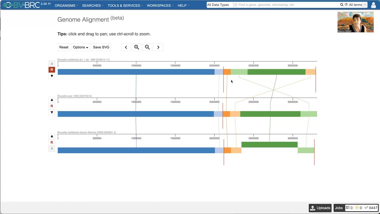 Genome Alignment Service (pt. 4) - Alignment Viewer - YouTube