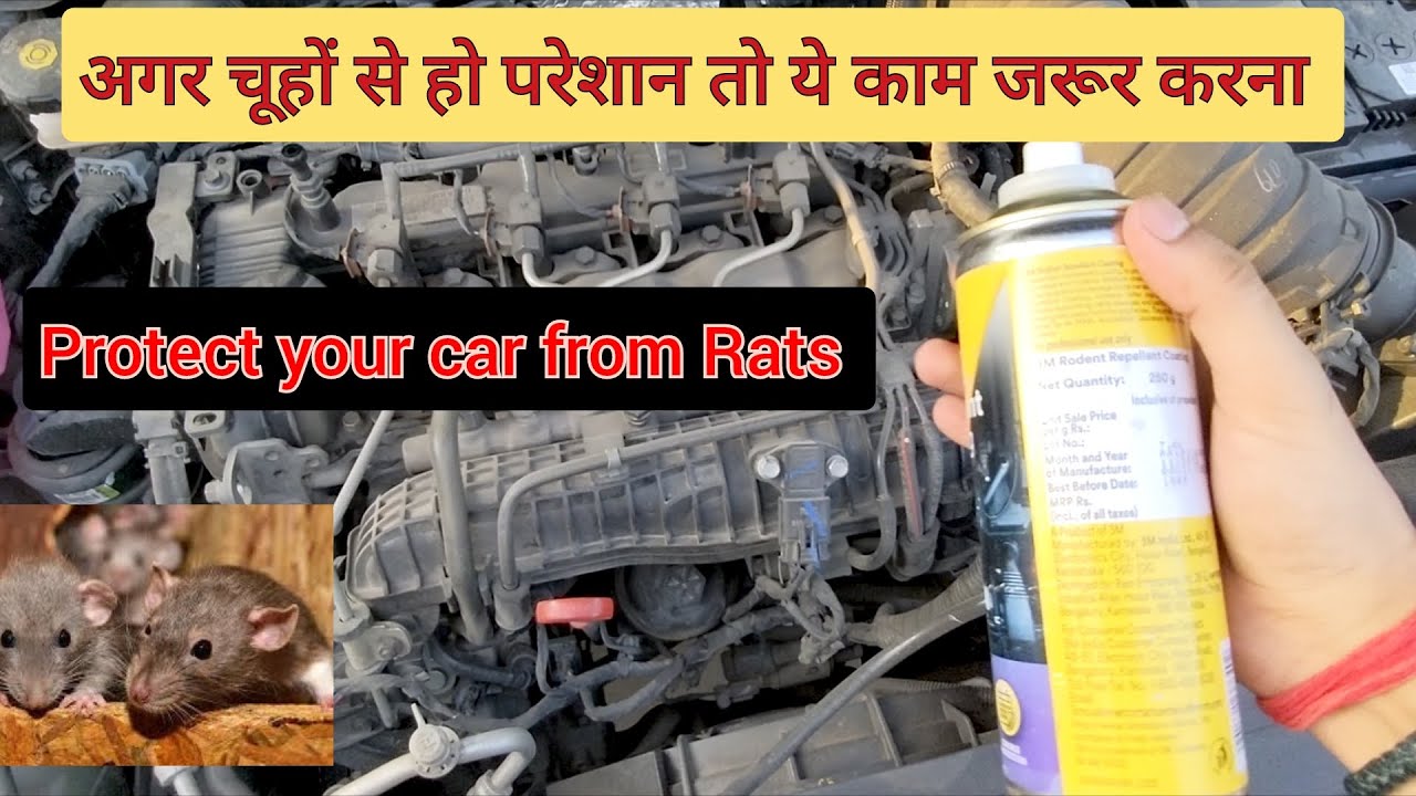 Rat protection in car || अपनी कार को चूहों से बचाए ।। 100% protection ...