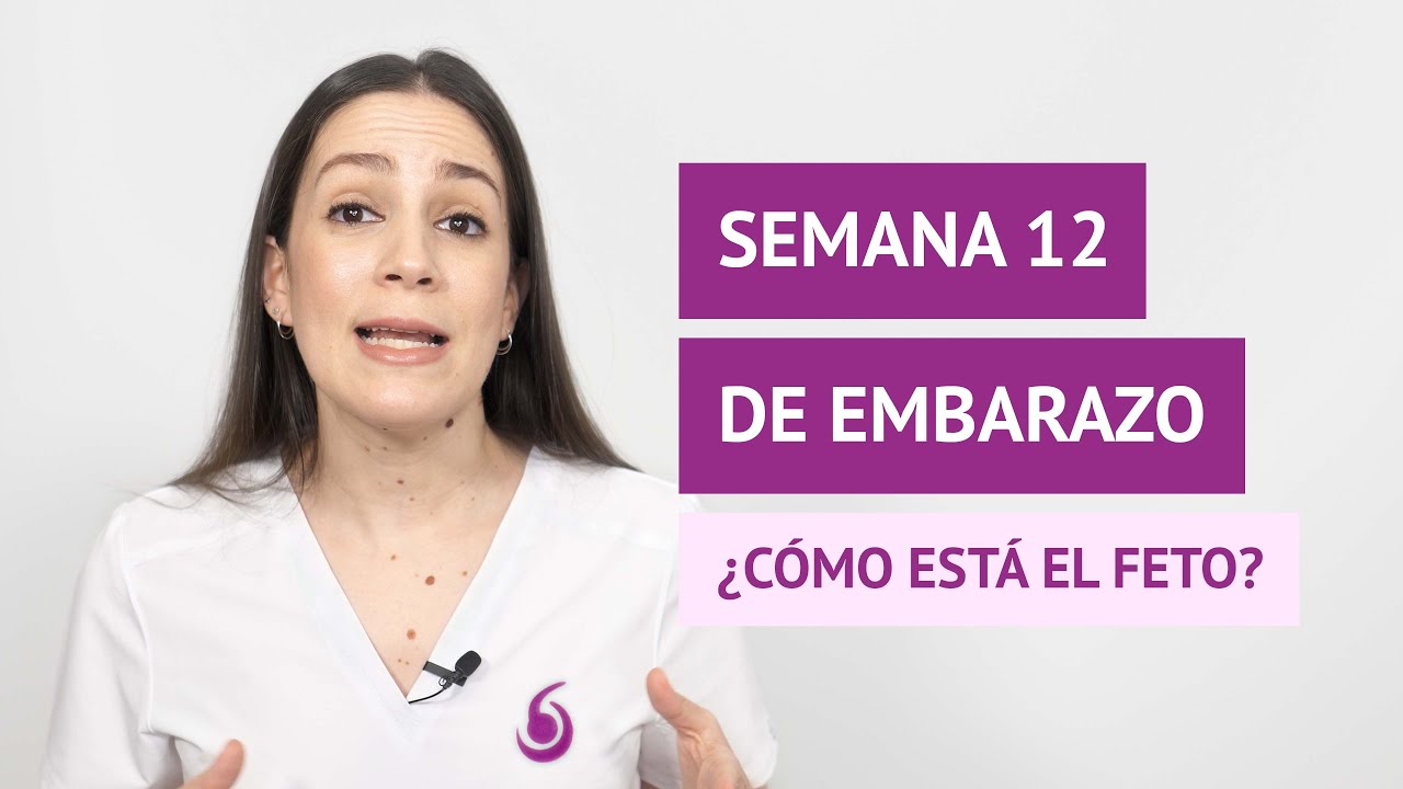 ¿Cómo está el feto en la semana 12 de embarazo? - YouTube