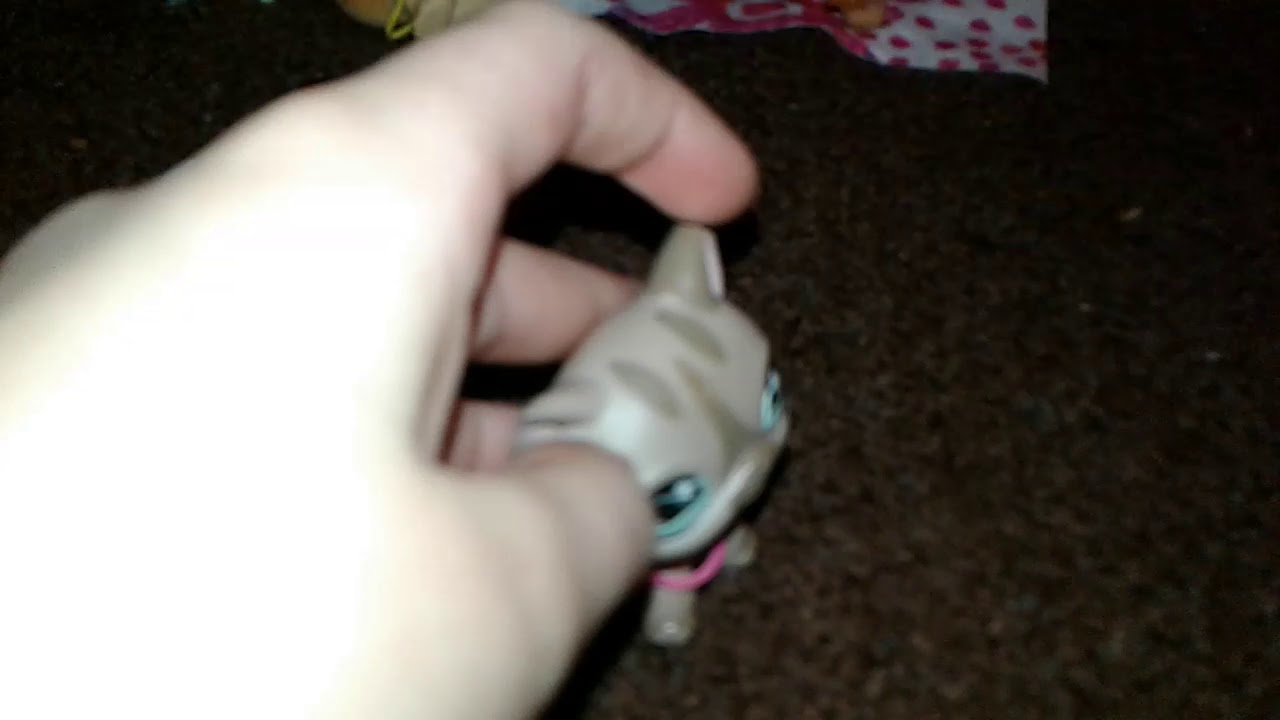 Lps woth momo Jenny - YouTube