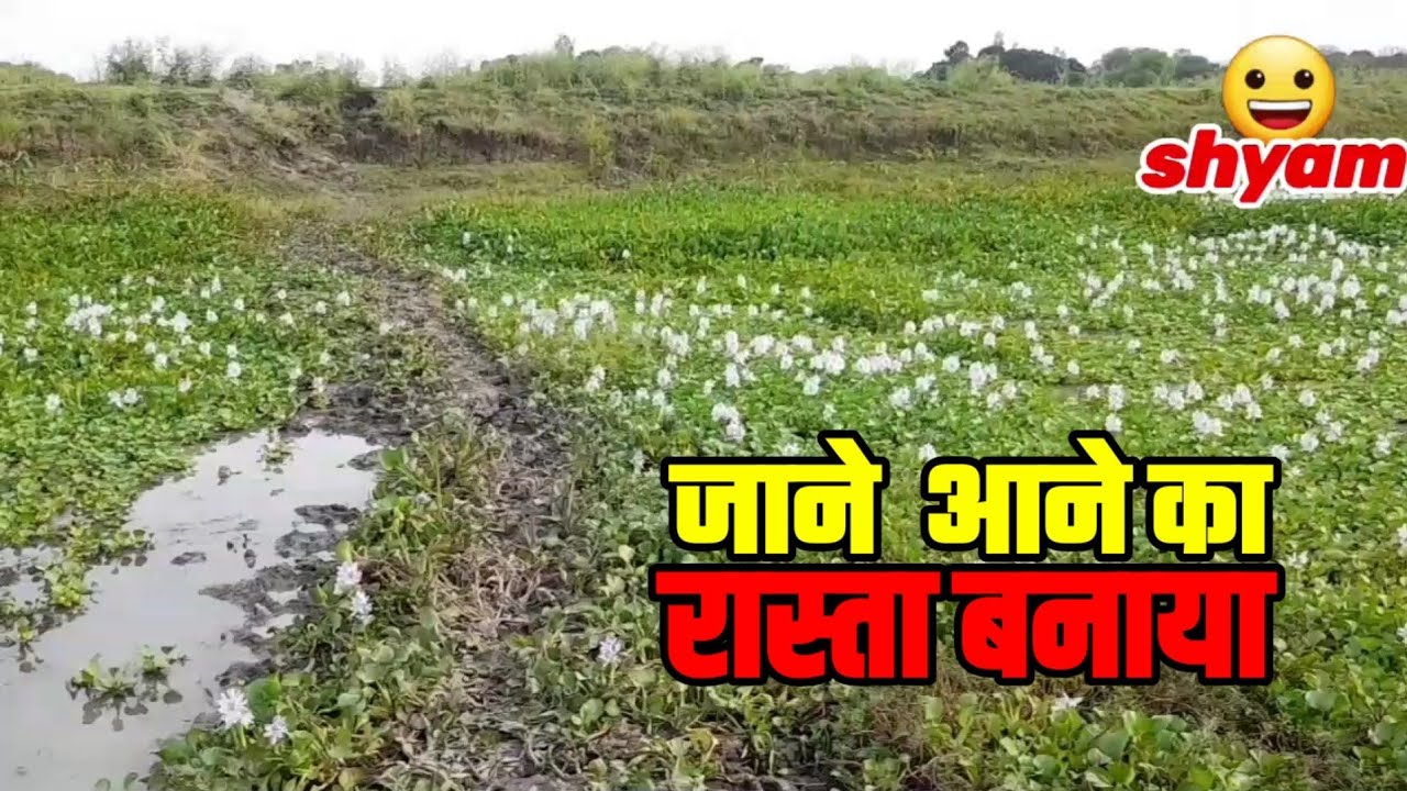 Jane Aaine Ka Rasta Banaya जाने आने का रास्ता बनाया #rasta #rod #sadak ...