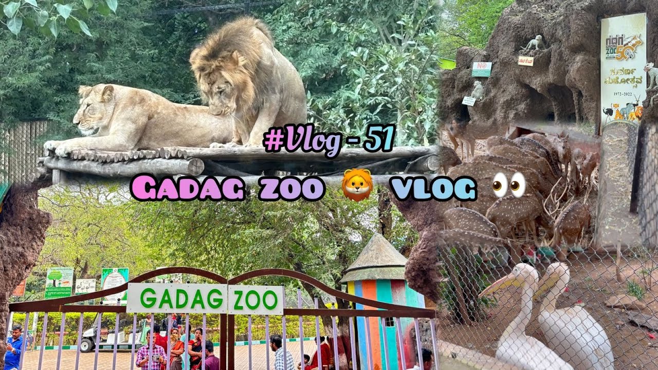 Gadag Zoo 🦁 Vlog 👀 || #gadag zoo || gadag zoo binkadkatti || gadag zoo video || gadag zoo park# ...