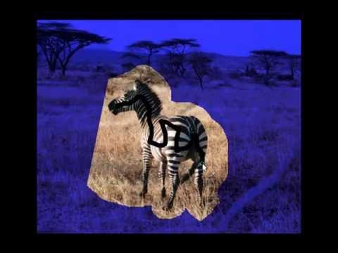 The Gimp - Video 08 - How To Use The Foreground Select Tool - YouTube