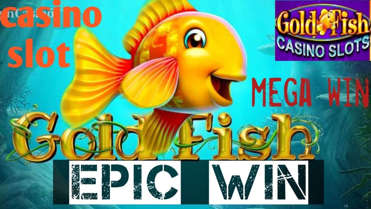 Epic win in golden fish casino slot || golden fish casino mega win ...