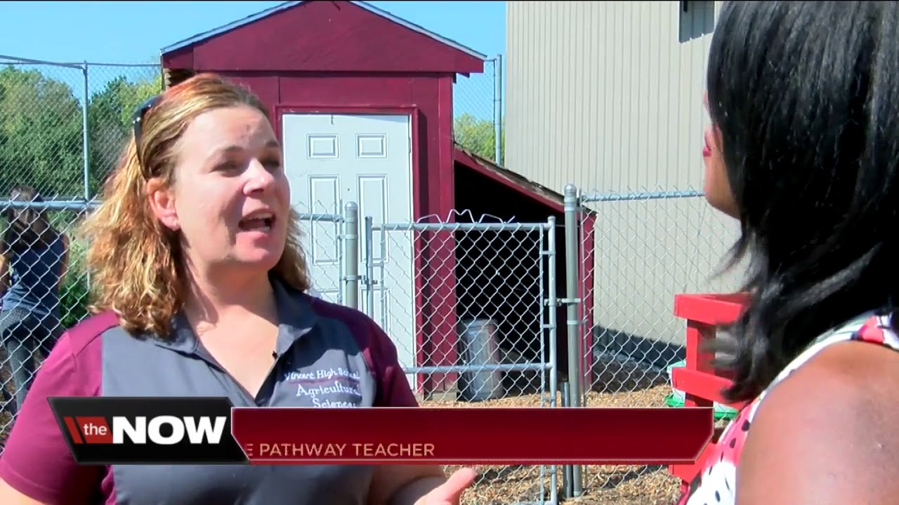 Local high school hosts deviled egg tasting competition - YouTube