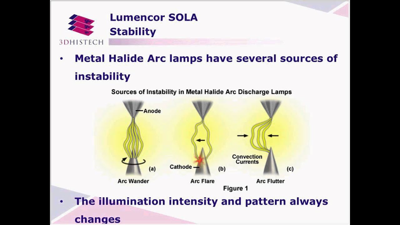 3DHISTECH - Digital pathology on the move: Pannoramic 250 FLASH III ...