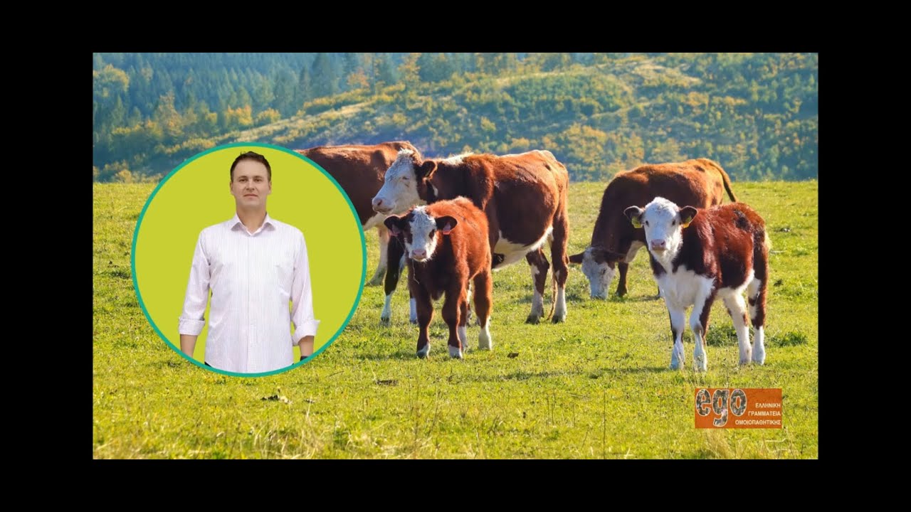 ΠΡΟΗΓΜΕΝΗ ΟΜΟΙΟΠΑΘΗΤΙΚΗ ΣΤΗΝ ΚΤΗΝΟΤΡΟΦΙΑ - YouTube