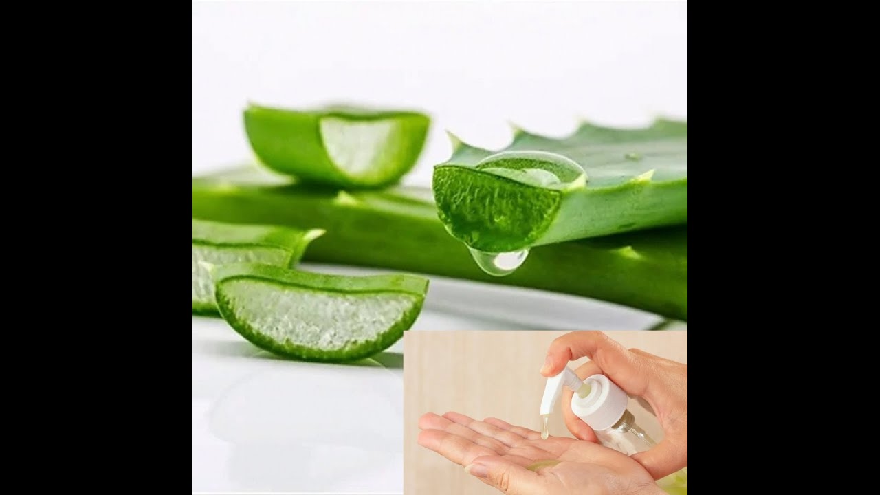 How To Prepare Homemade Aloe Vera Hand Sanitizer Within 2 Minutes With How To Prepare Homemade Aloe Vera Hand Sanitizer Within 2 Minutes With