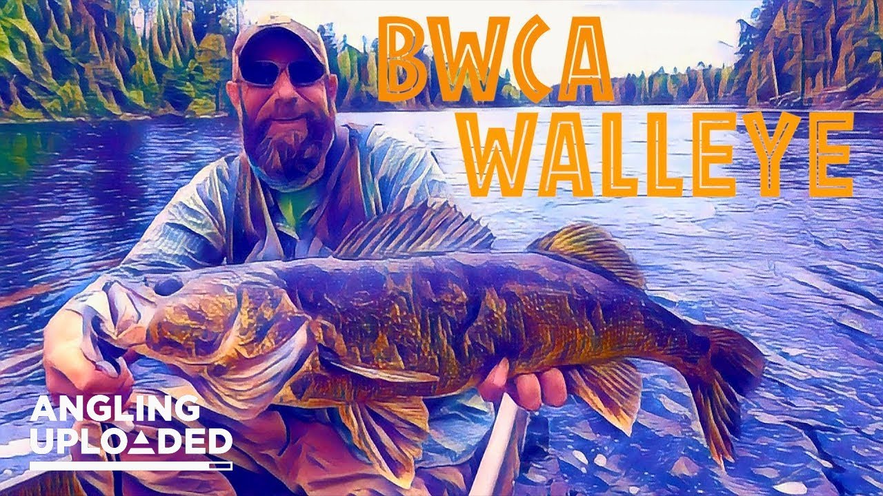 Fishing in the BWCA - GIANT WALLEYE!! - YouTube