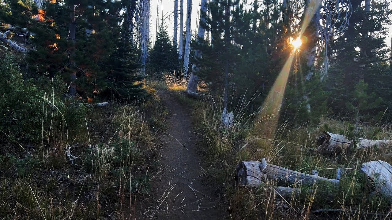 Hiking Three Fingered Jack Loop - Details, Tips & Strategies! | 4K PCT ...
