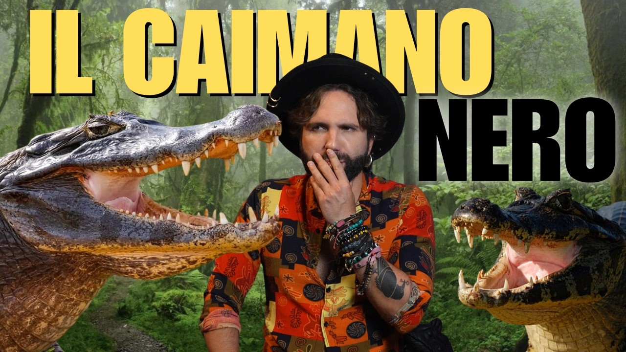 IL CAIMANO NERO - YouTube