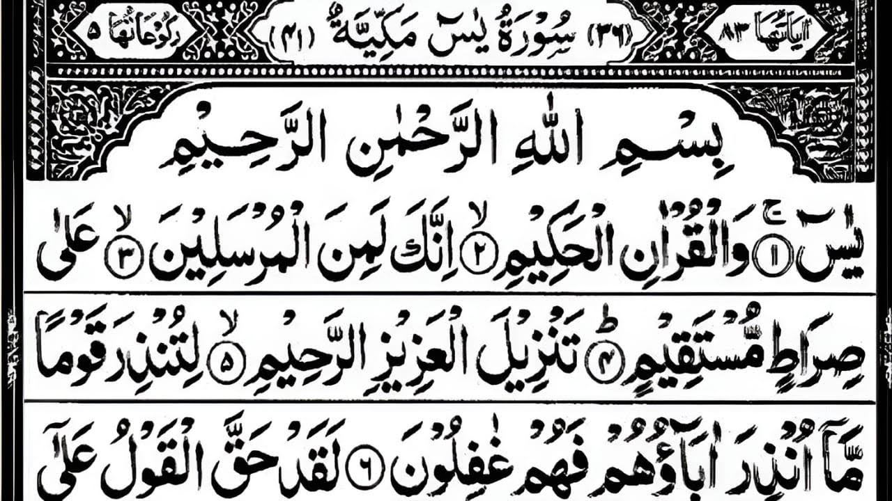 Surah yaseen surah rahman surah Waqiah daily quran tilawat EP 278 - YouTube