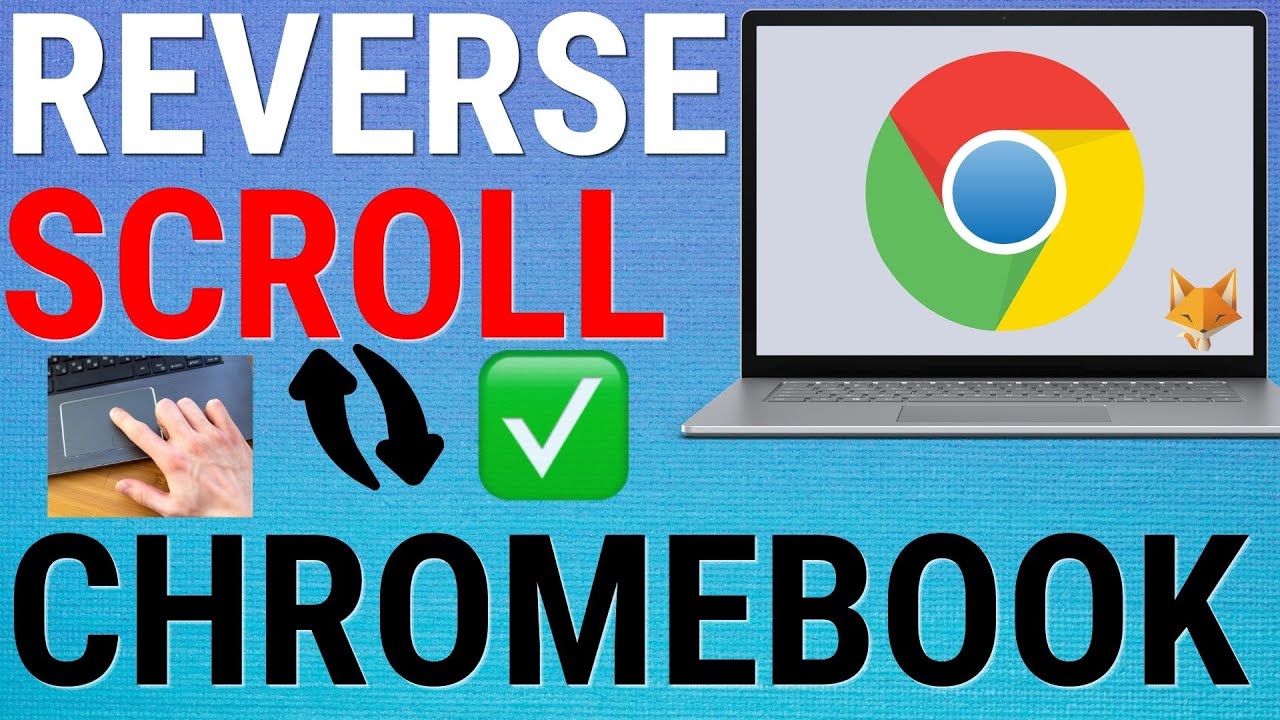 How To Enable Disable Reverse Scrolling On Chromebook YouTube How To Enable Disable Reverse Scrolling On Chromebook YouTube