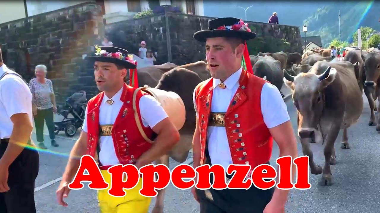 Appenzell, Switzerland - Cow Parade, Alpine Festival, Swiss Alps 🇨🇭 ...