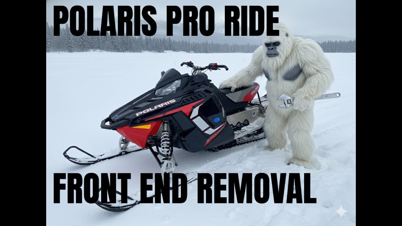 Step by Step REMOVAL of the Control Arm, Shocks, and Skis from a ...