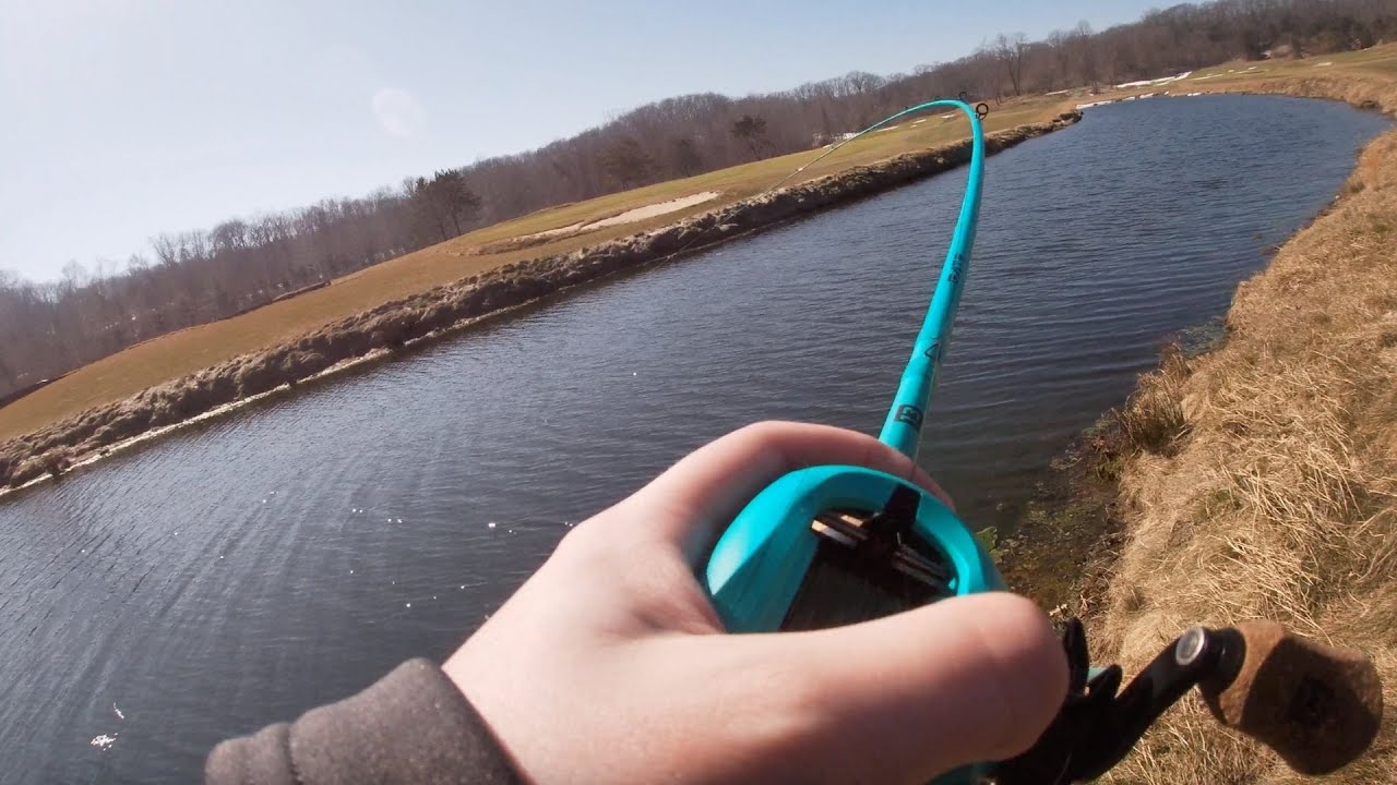 Insane golf course fishing (field testing Origin TX combo) - YouTube
