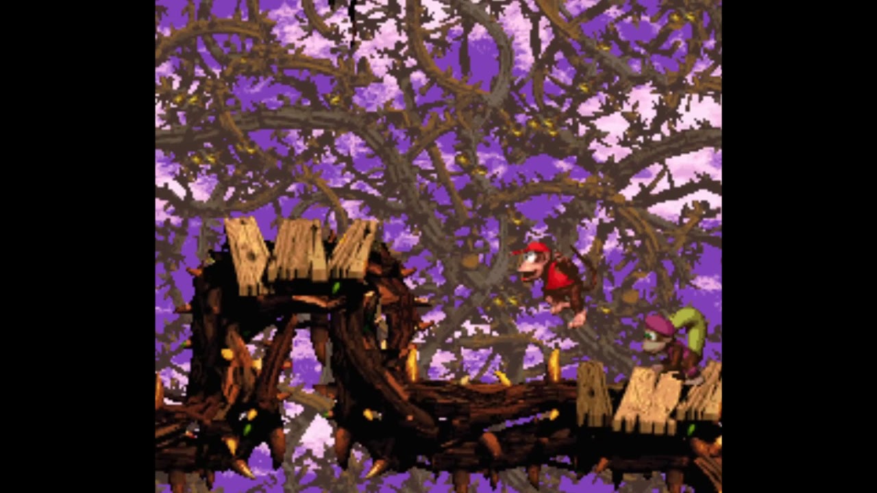 Donkey Kong Country 2: Diddy's Kong Quest- Screech's Sprint (Bonus ...