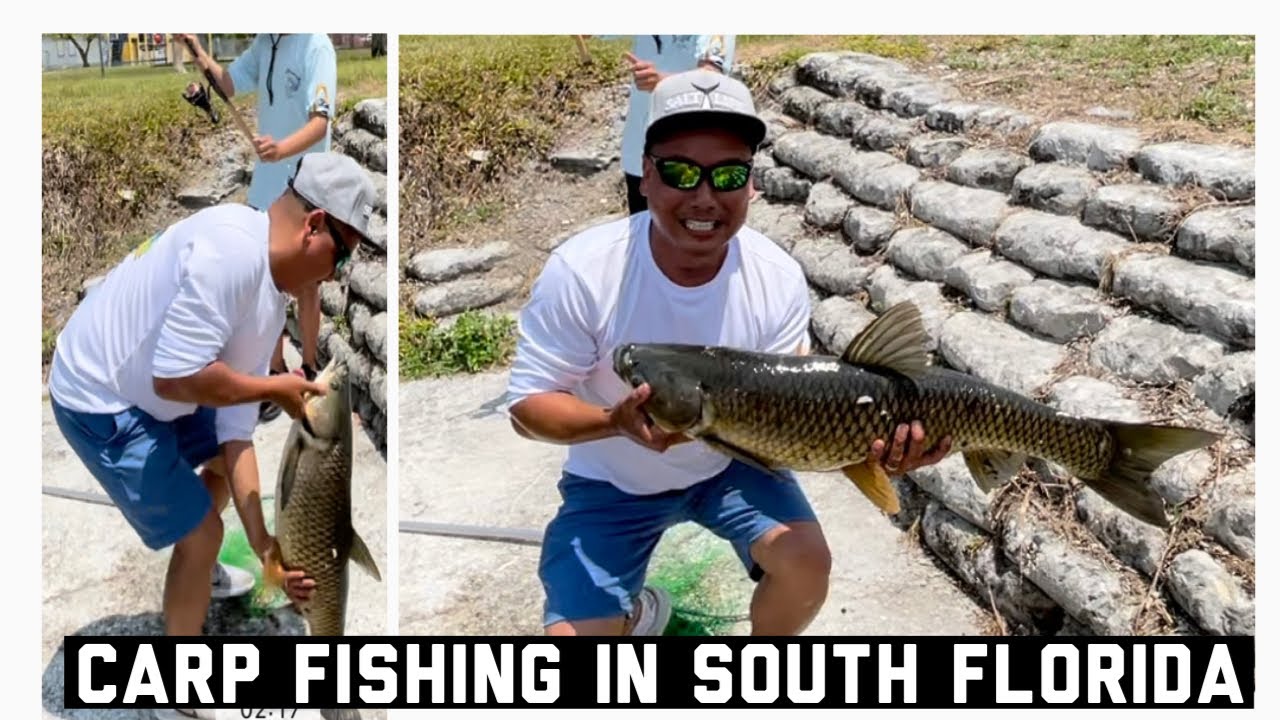 Carp Fishing in South Florida - YouTube