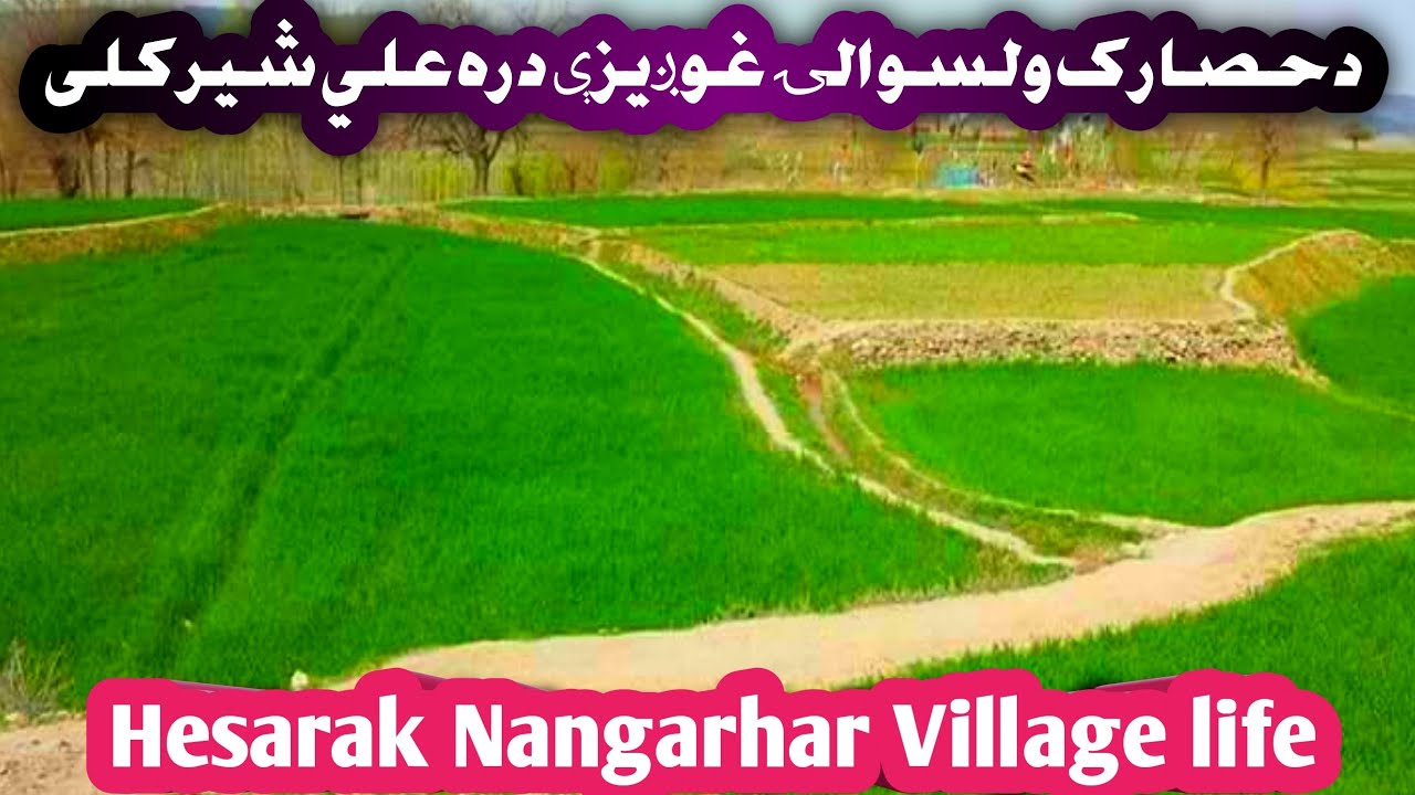 Hesarak Village life Nangarhar| Hisarak District Nangarhar |The Beauty ...