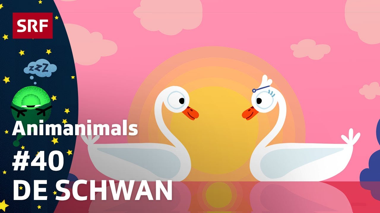 Guetnachtgschichtli: Animanimals – Schwan #40 | Kindervideos | SRF Kids ...