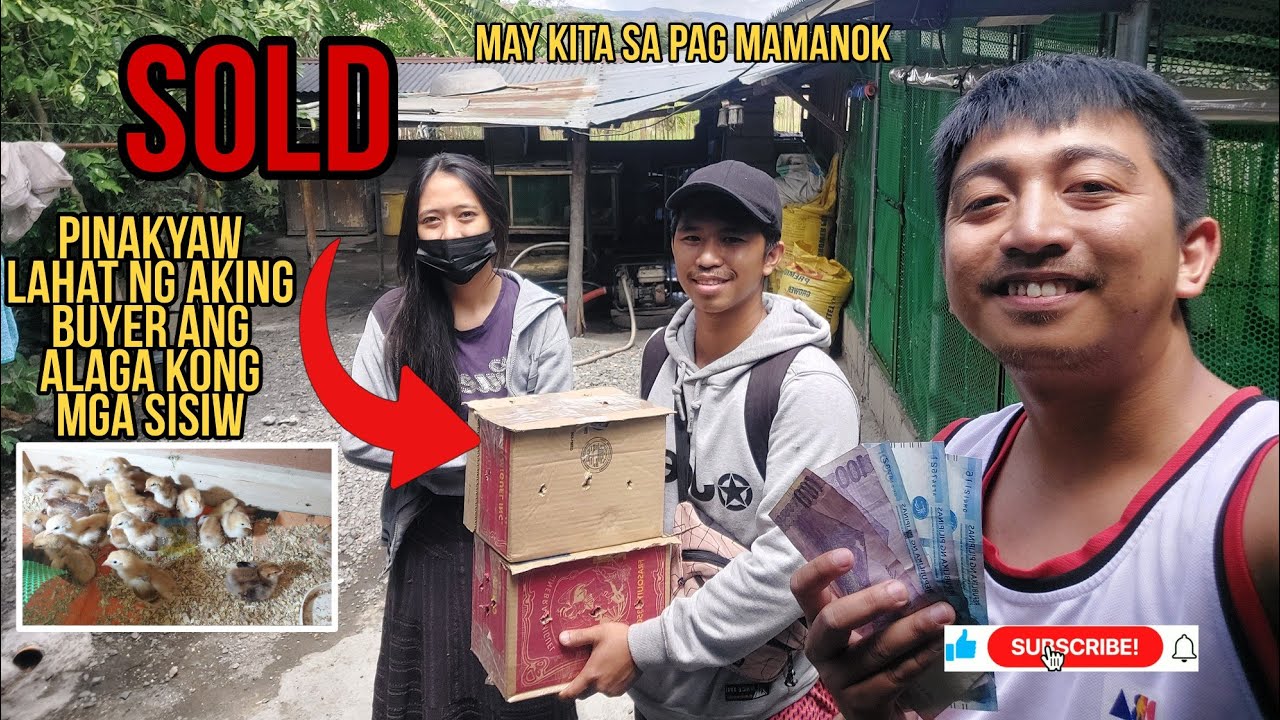 SOLD OUT ang aking alagang sisiw na rhode island red #freerangechicken ...