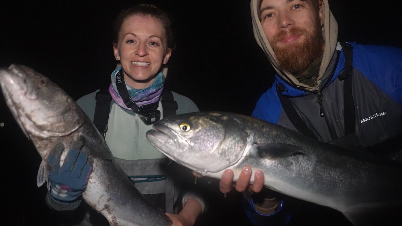 BIG BLUEFISH AT NIGHT ON BLACK AND PURPLE PLUGS! - LONG ISLAND SURF ...
