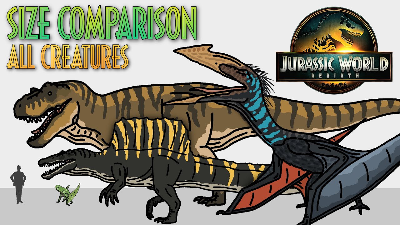 DINOSAUR SIZE COMPARISON | Jurassic World Rebirth - YouTube