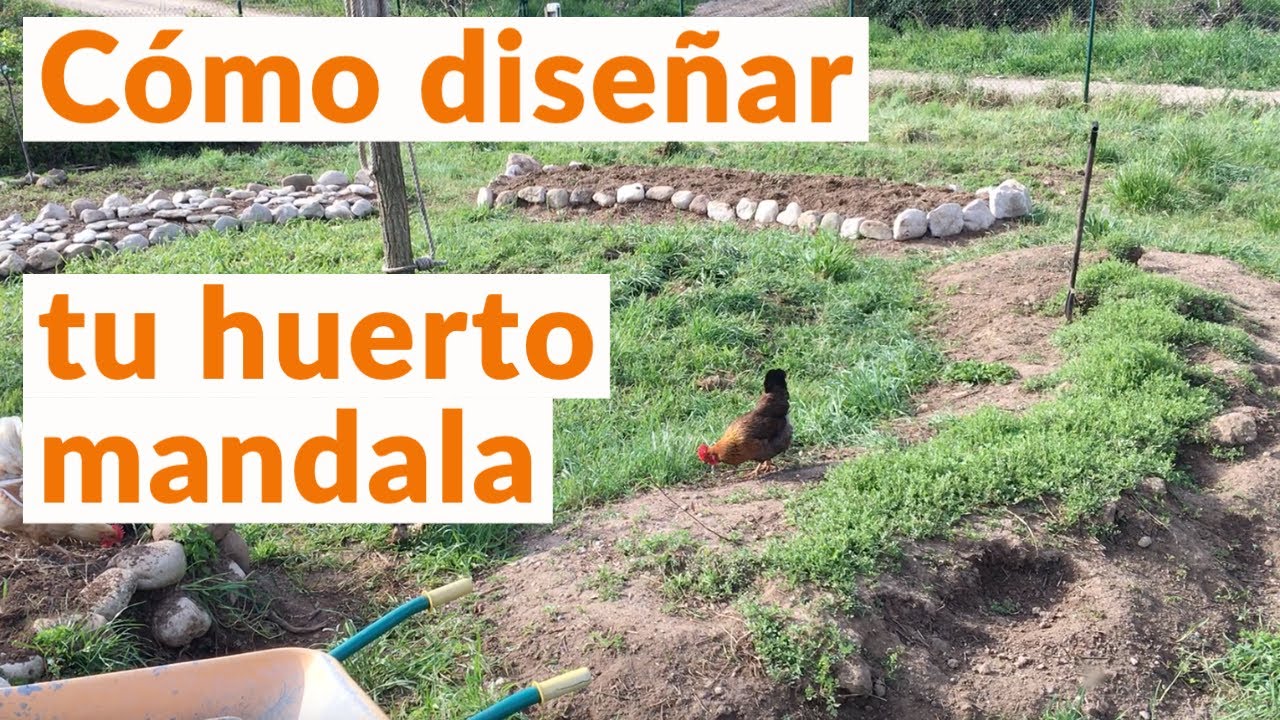 Cómo diseñar tu huerto mandala - YouTube