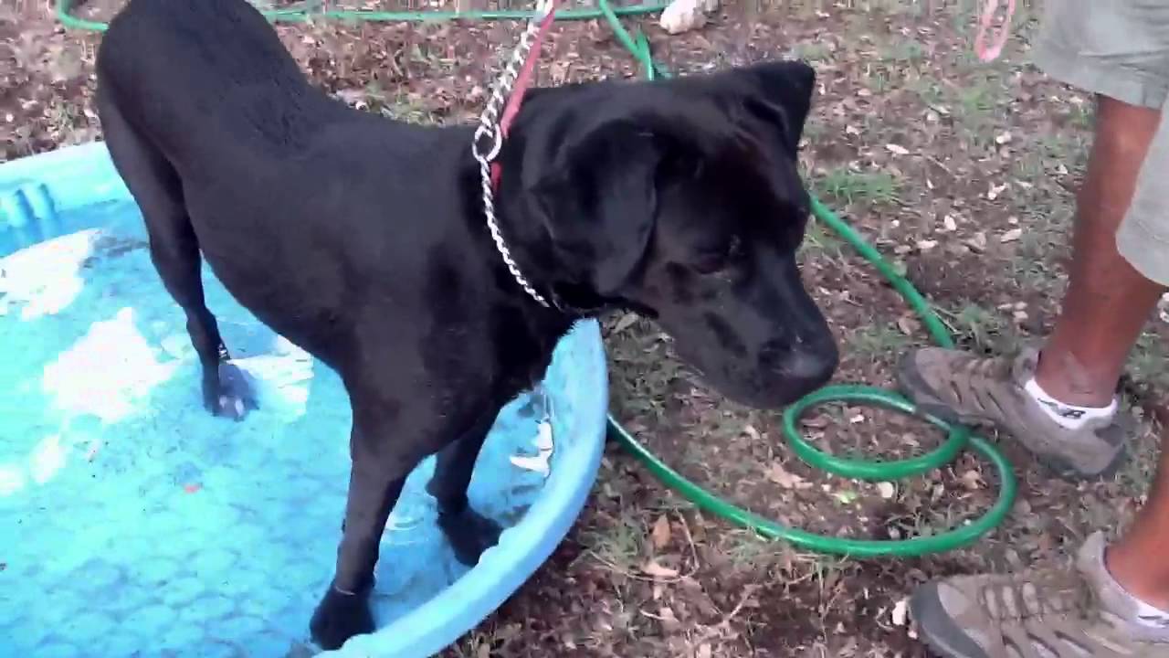 PAT from Saturday Night Live - YouTube