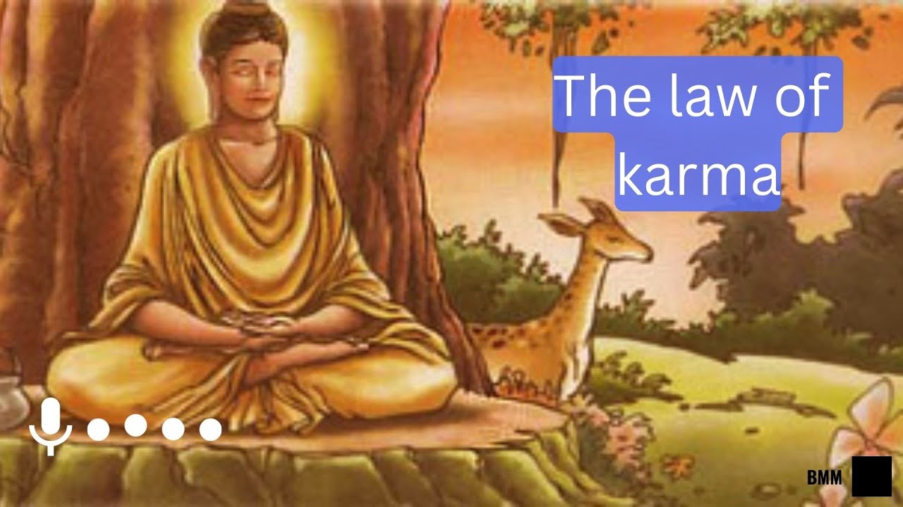 The law of karma.....life lesson from Buddha life| Books motivate me ...