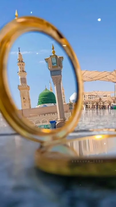 shorts short shortvideo shortsvideo shortsviral shortsfeed - YouTube