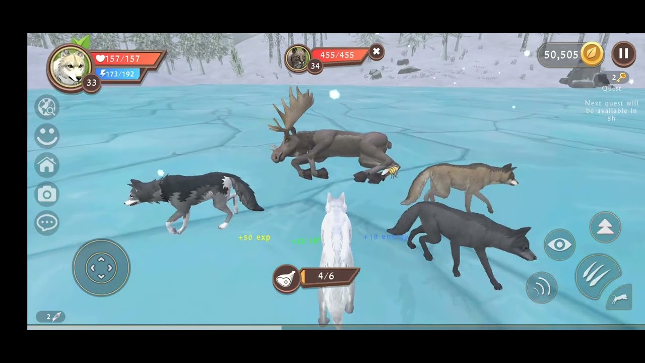 Wildcraft part 14 Wolf Lynx Hunting in the Winter Forest - YouTube