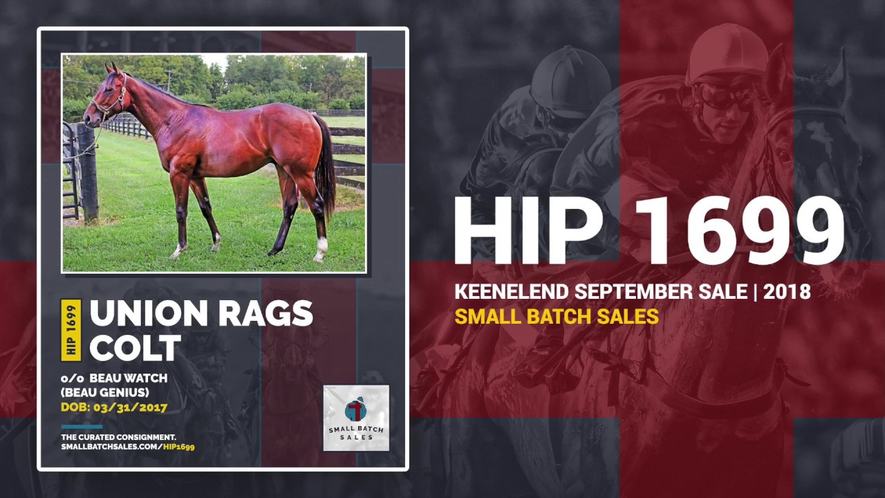 Hip 1699 - Yearling: Union Rags x Beau Watch (Beau Genius) - YouTube