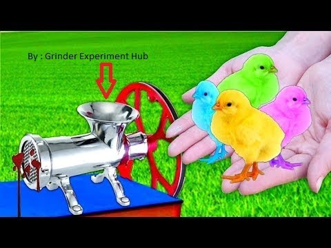 Experiment Meat Grinder vs Chicks - YouTube