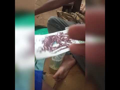 Bocil tato