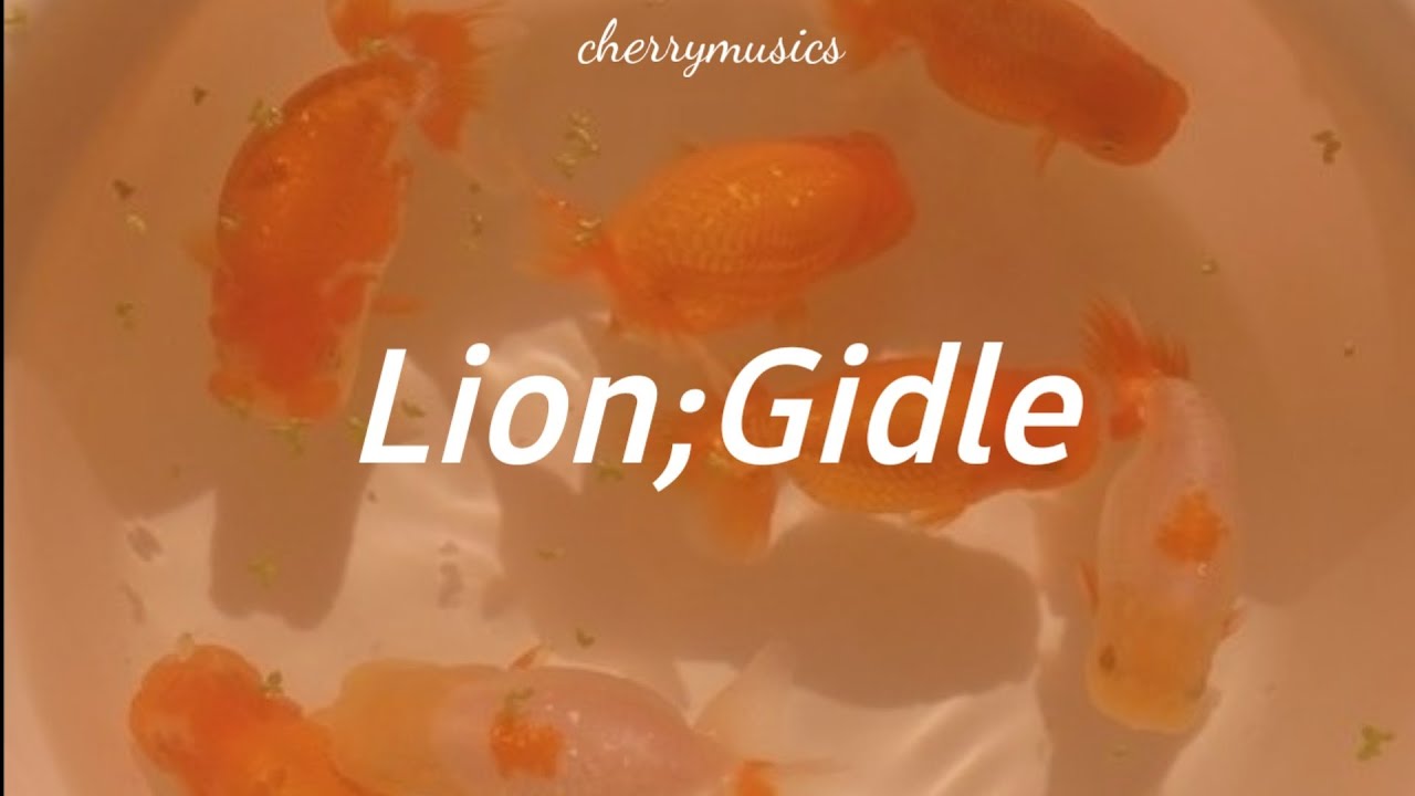 G-idle- Lion tradução PT BR - YouTube