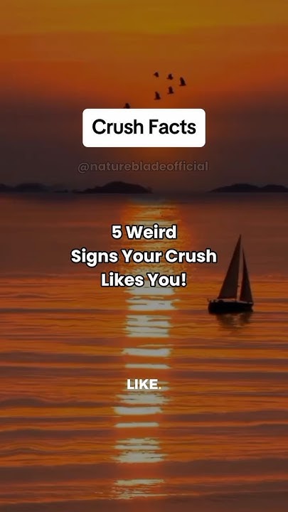 5 Weird Signs Your Crush Likes You! | Crush Facts #shorts - YouTube