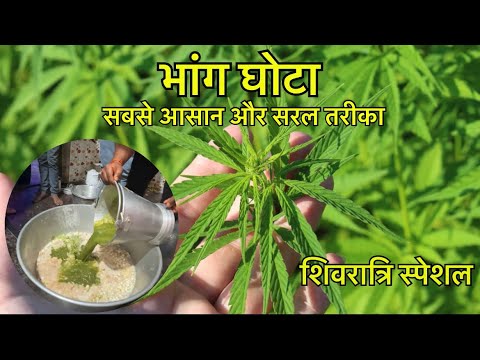 भांग घोटा || शिवरात्रि स्पेशल || Bhang Ghota Recipe || भांग घोटा कैसे ...