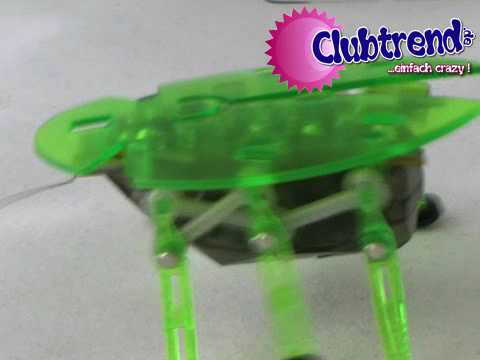 Hexbug - Original Roboter Insekten - YouTube
