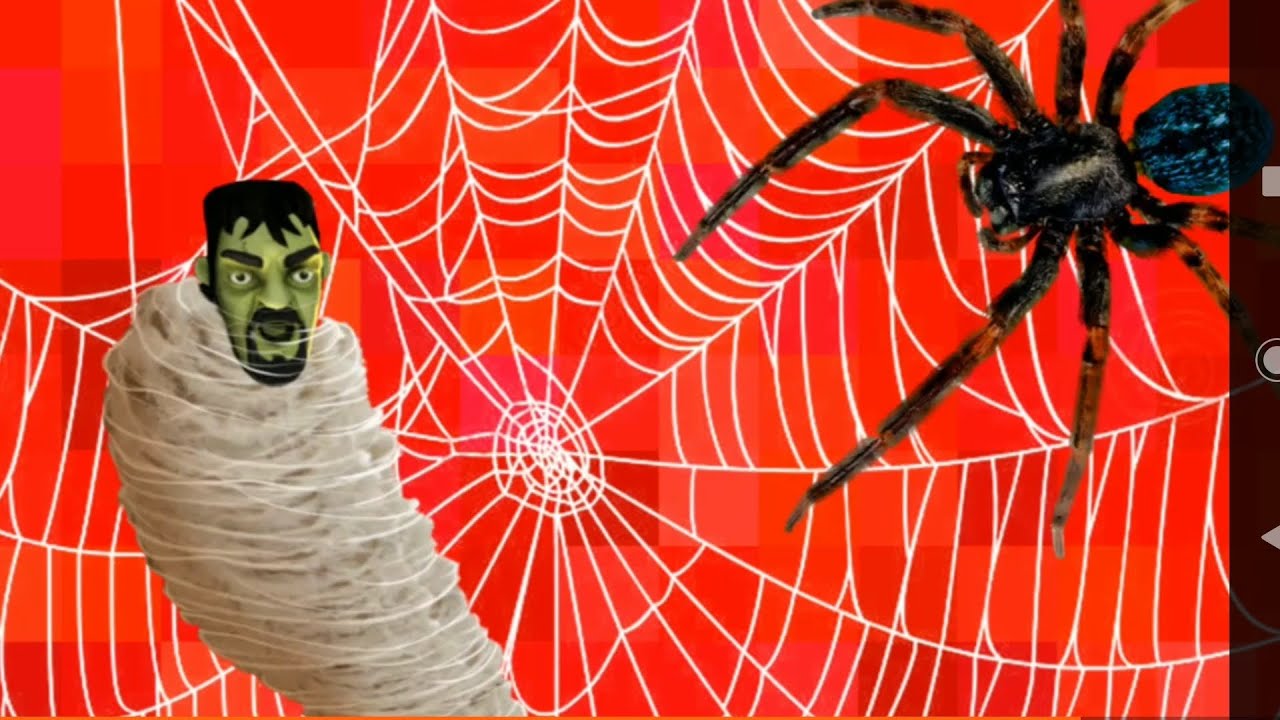 scary stranger 🤯 Ooooo hahaha shikar ban gaya 😱 spider 🕷️ ka 🤣😂 - YouTube